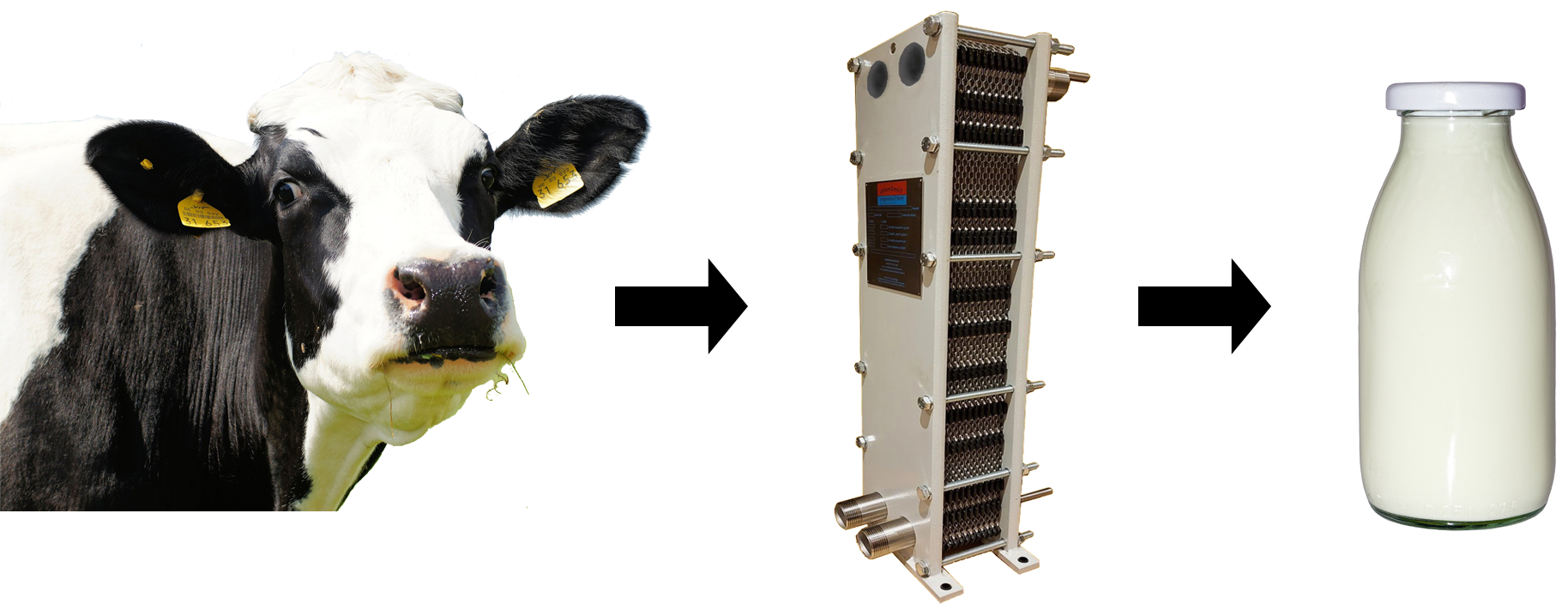 Raw Milk / Dairy Cow Plate Coolers - TimSmith Heat Exchangers